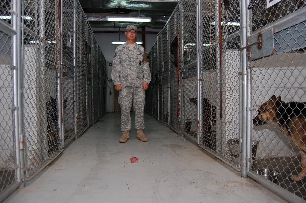 DVIDS - Images - Day in the Life - Tech. Sgt. David Reavis