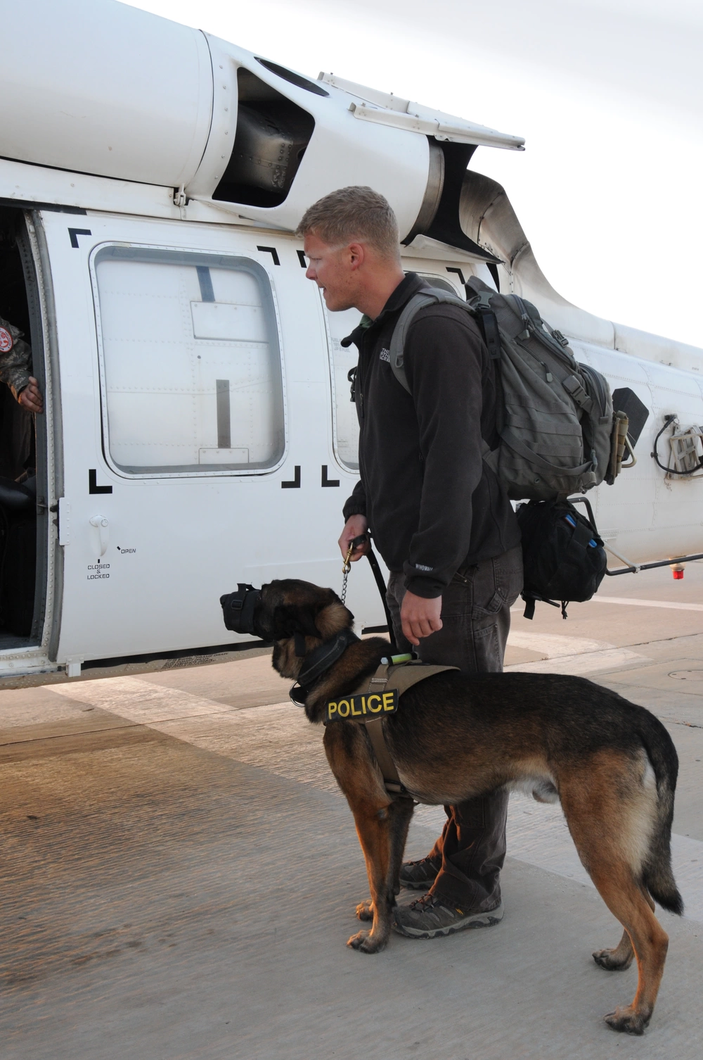 DVIDS - Images - Fixing a K-9’s Canine; Medevac delivers military ...