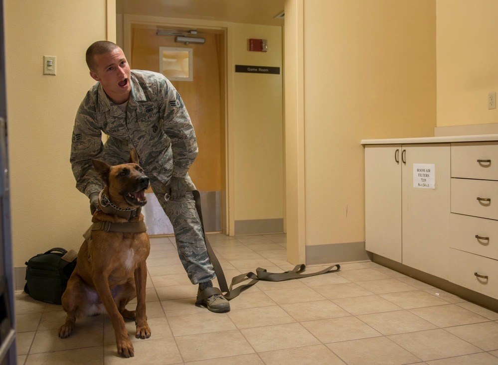 DVIDS - Images - Military working dog: An Airman’s best friend [Image 1 ...