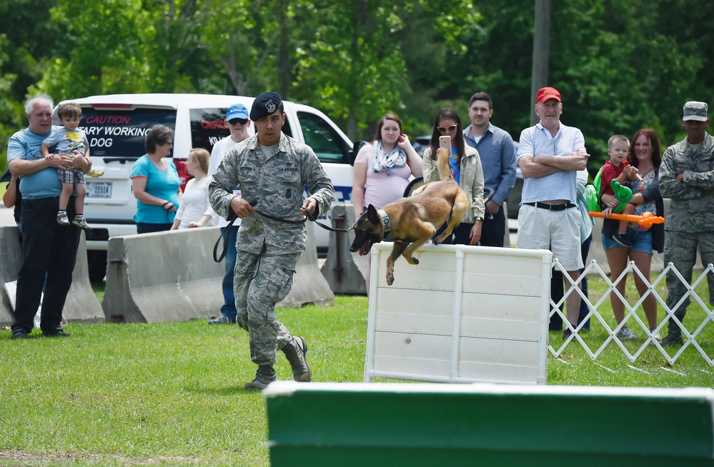 DVIDS - Images - JB Charleston holds base picnic for service members ...