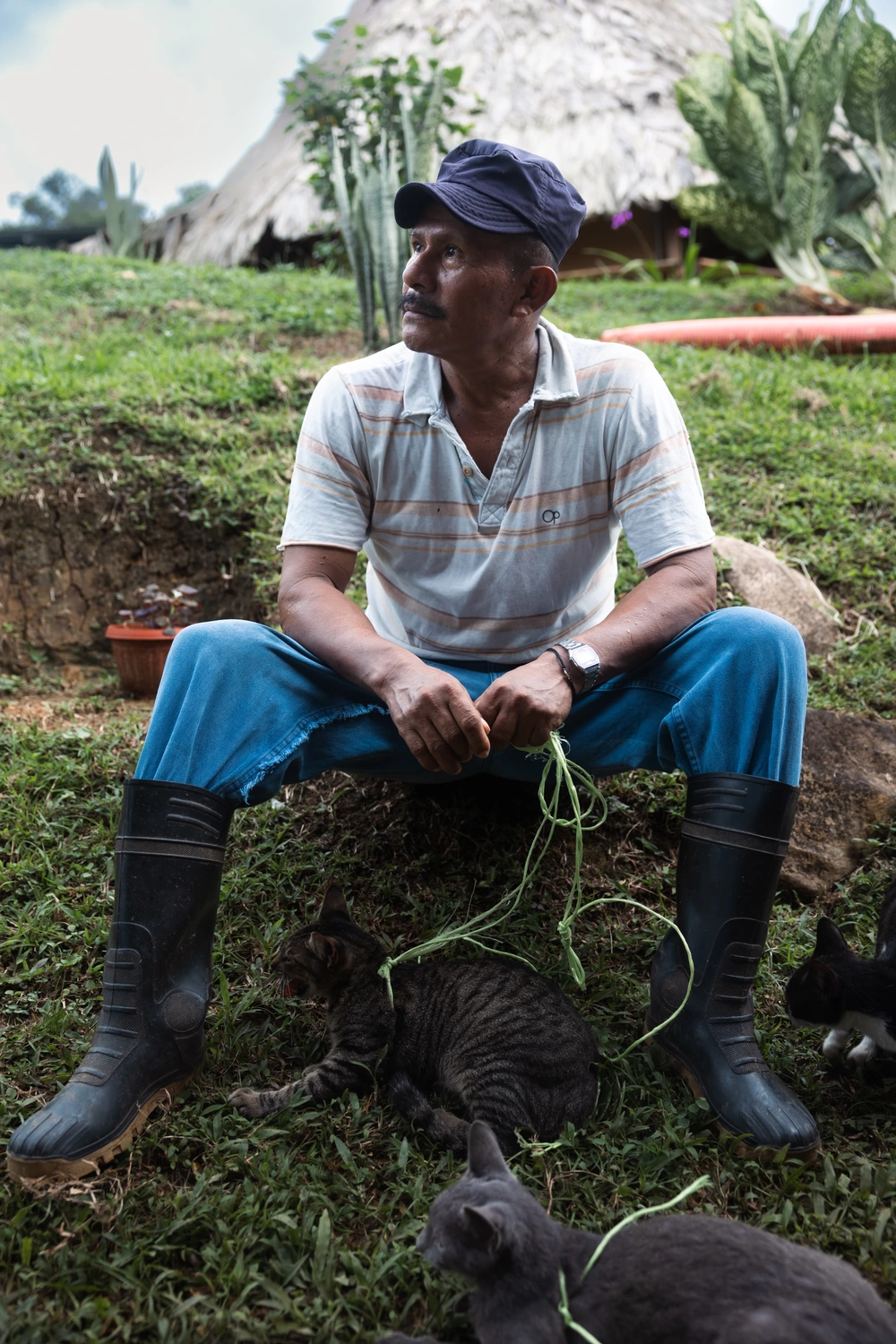 DVIDS - Images - Continuing Promise 2024 personnel provide veterinary ...