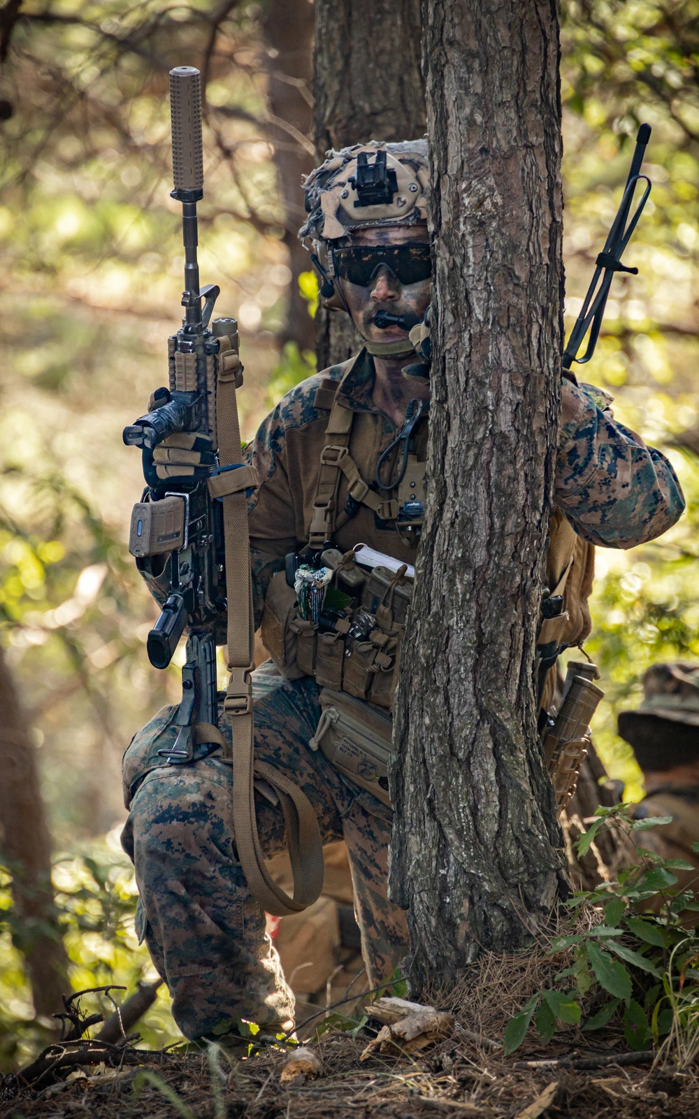 DVIDS - Images - SY 24 | ROKMC and USMC Conduct Patrol Training [Image ...