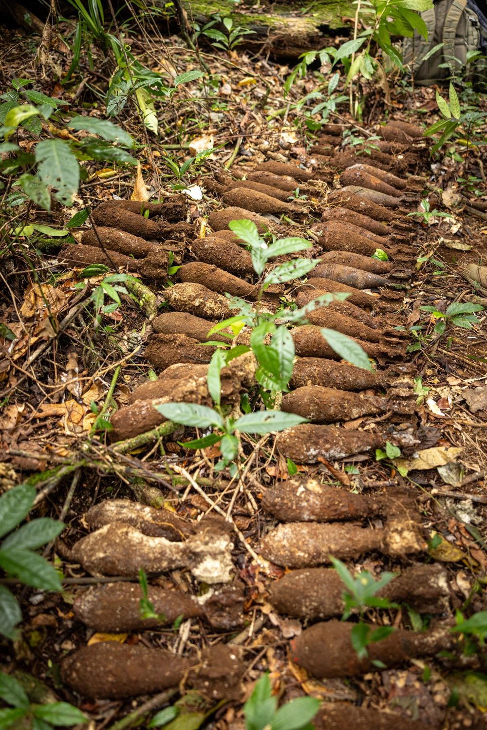 DVIDS - Images - MRF-D 24.3: U.S. Marines, ADF, CAF removes explosive ...