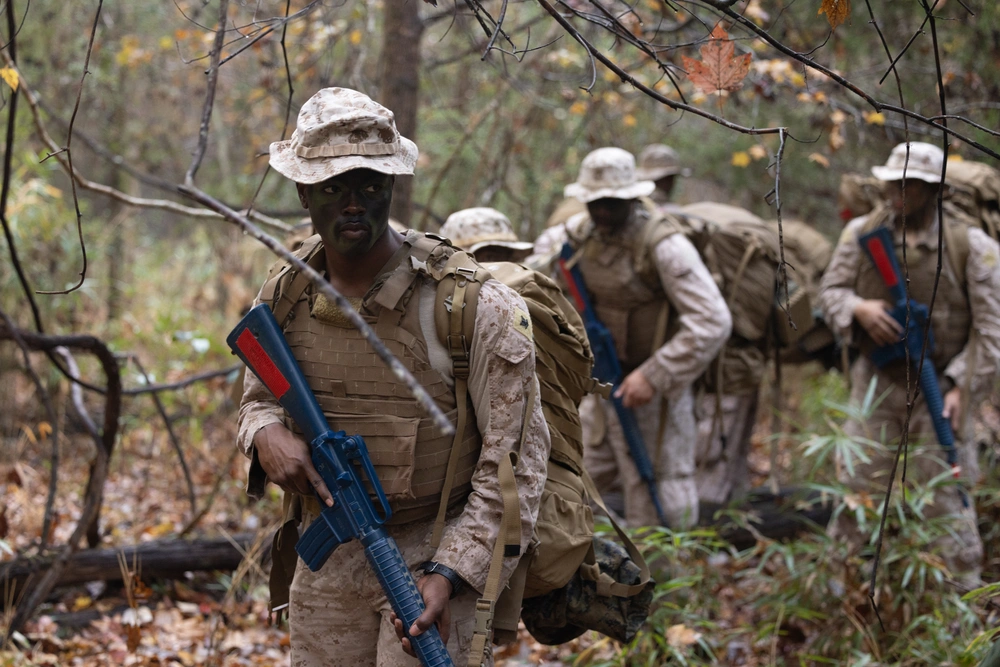 DVIDS - Images - Field Medical Training Battalion - East conducts final ...