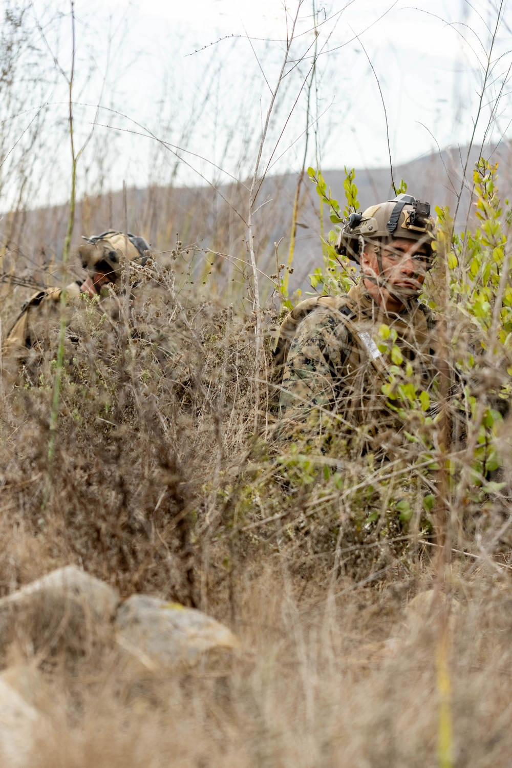 DVIDS - Images - 2nd Bn., 1st Marines conducts combat readiness ...