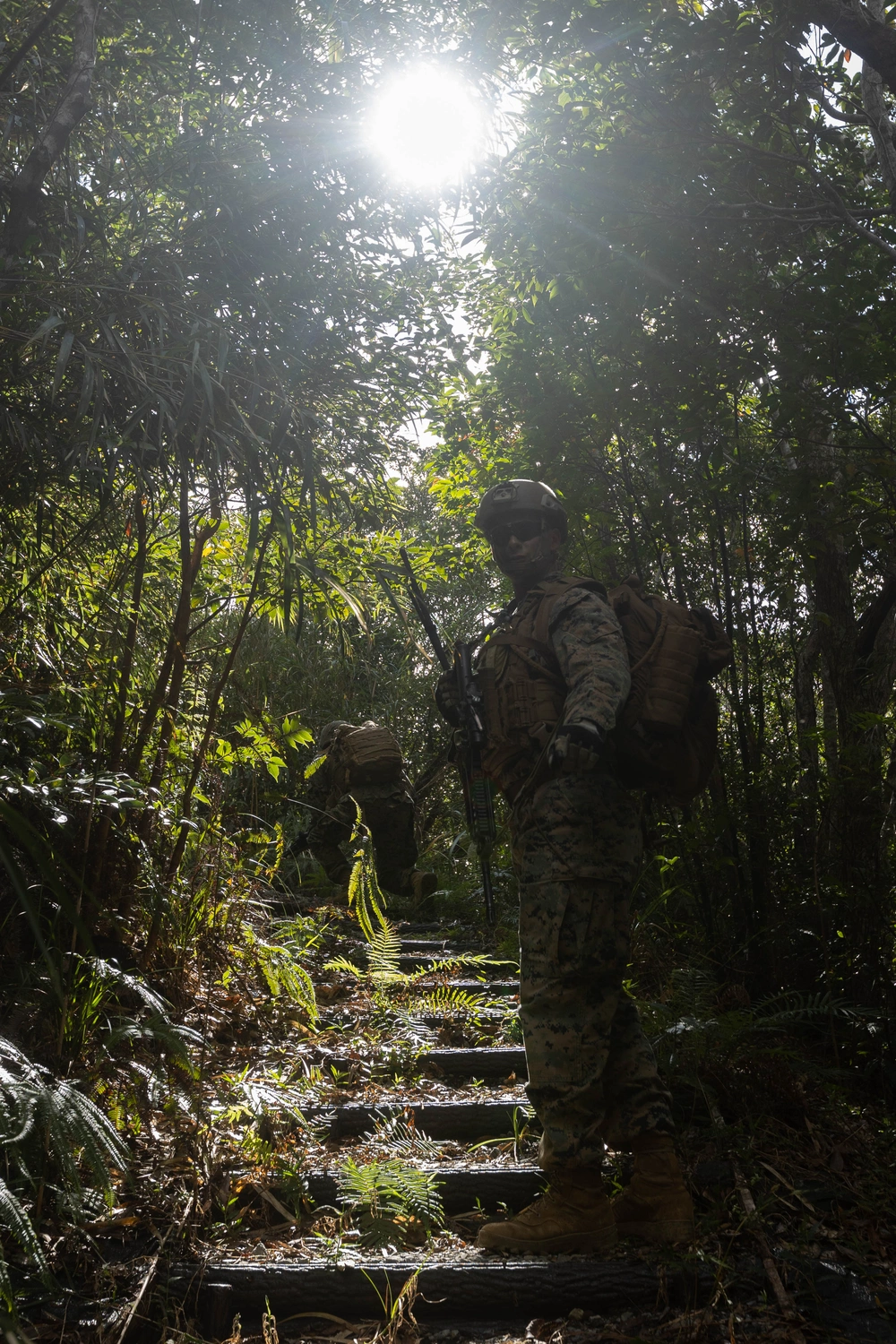 DVIDS - Images - III MIG | 3d Intel. Bn. Marines Conduct Patrol [Image ...