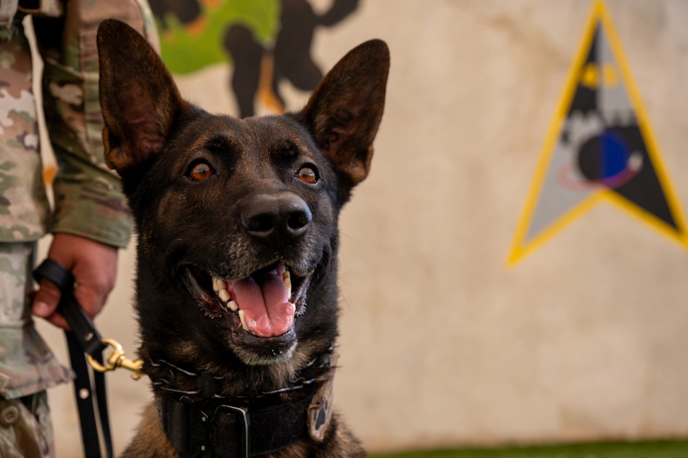 DVIDS - Images - Beyond the Spaceport: SLD 45’s Commitment to ...