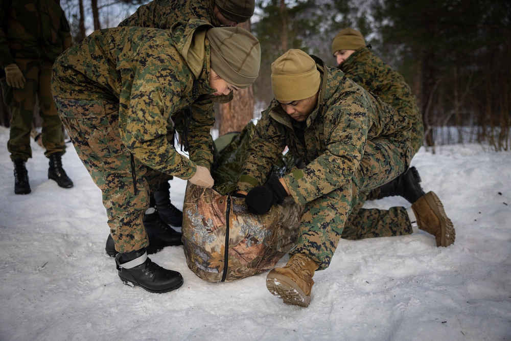 DVIDS - Images - Exercise Joint Viking 25: Health Services Capabilities ...