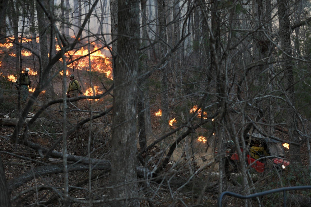 DVIDS - Images - South Carolina National Guard assist the South Carolina Forestry Commission ...