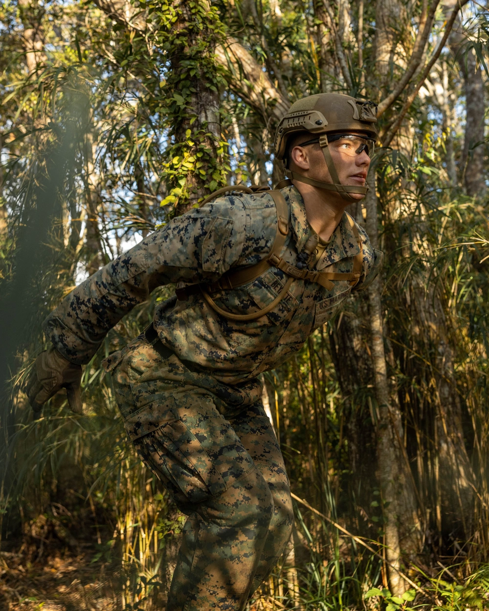 DVIDS - Images - 12th LCT Marines Maneuver through a Jungle Endurance ...