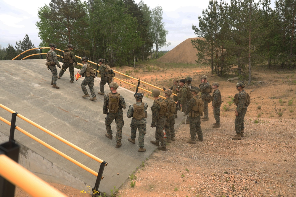 DVIDS - Images - 2d LAR Executes Light Armored Reconnaissance Vehicle ...