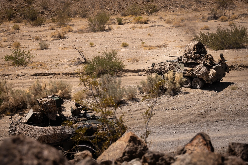 DVIDS - Images - ITX 3-25: Marines with 1st Battalion, 23rd Marine Regiment Conduct a Training ...