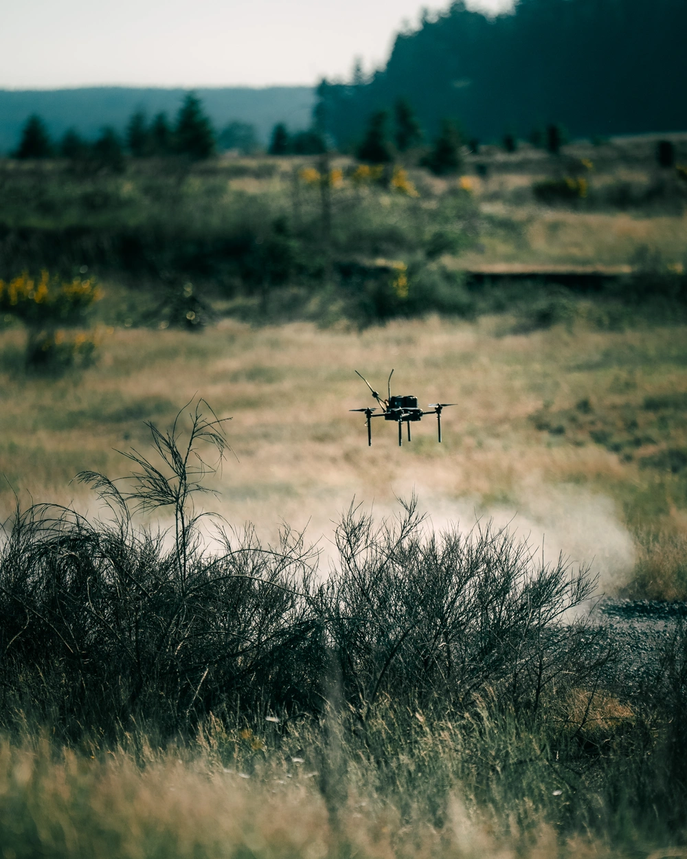 DVIDS - Images - 2nd Ranger Battalion Platoon Live Fire Training [Image ...