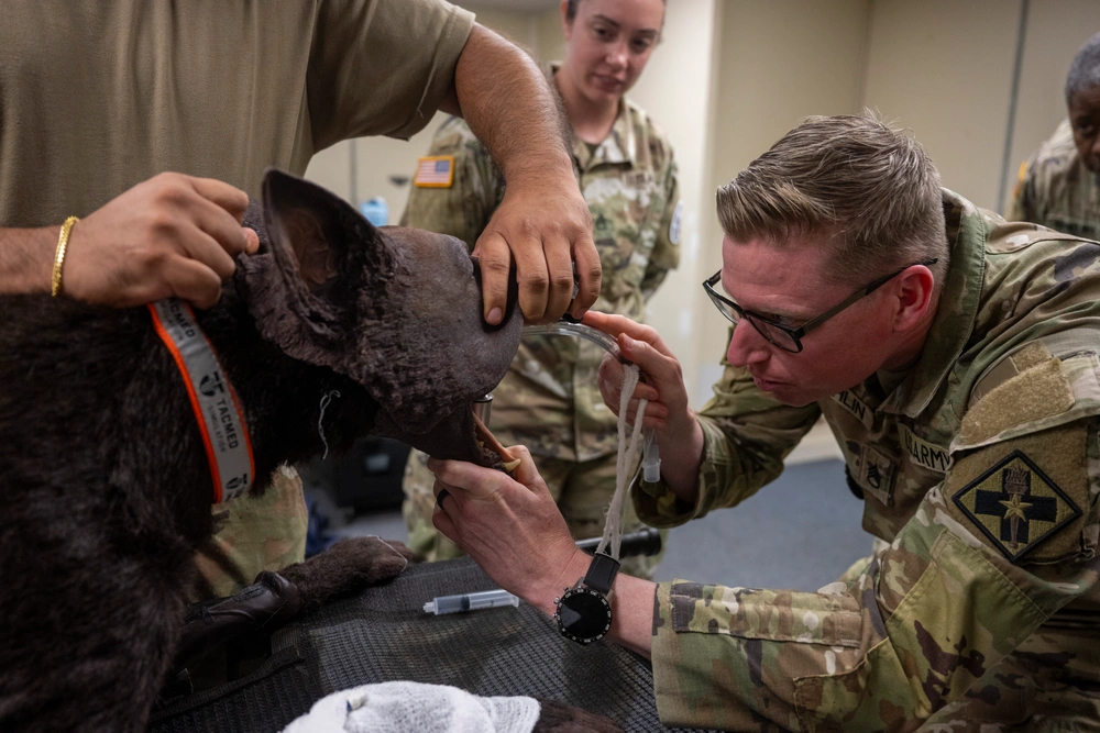 DVIDS - Images - Canine Tactical Combat Casualty Care Course [Image 4 of 6]