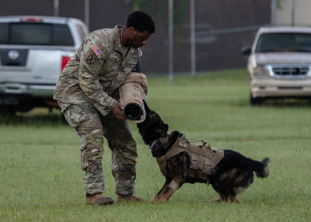 DVIDS - Images - National Dog Day [Image 1 of 5]