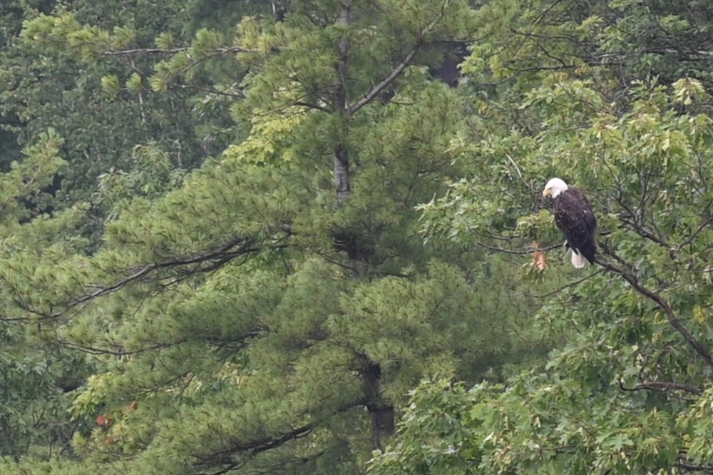 DVIDS - Images - Front-Row Seat to Flood Risk Management at Mount ...
