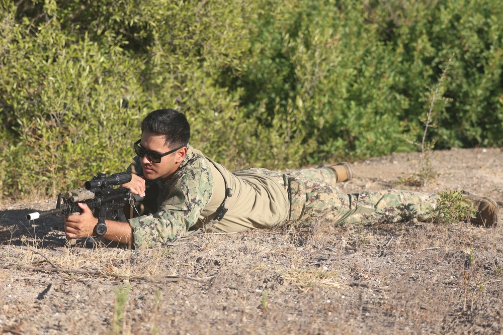 DVIDS - Images - FASTEUR, MSRON 2, and MSRON 11 perform a simulated ...