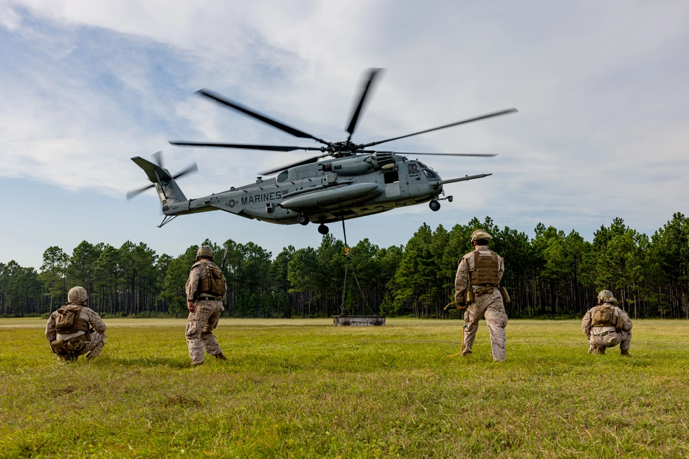 DVIDS - Images - 2nd Distribution Support Battalion Helicopter Support ...