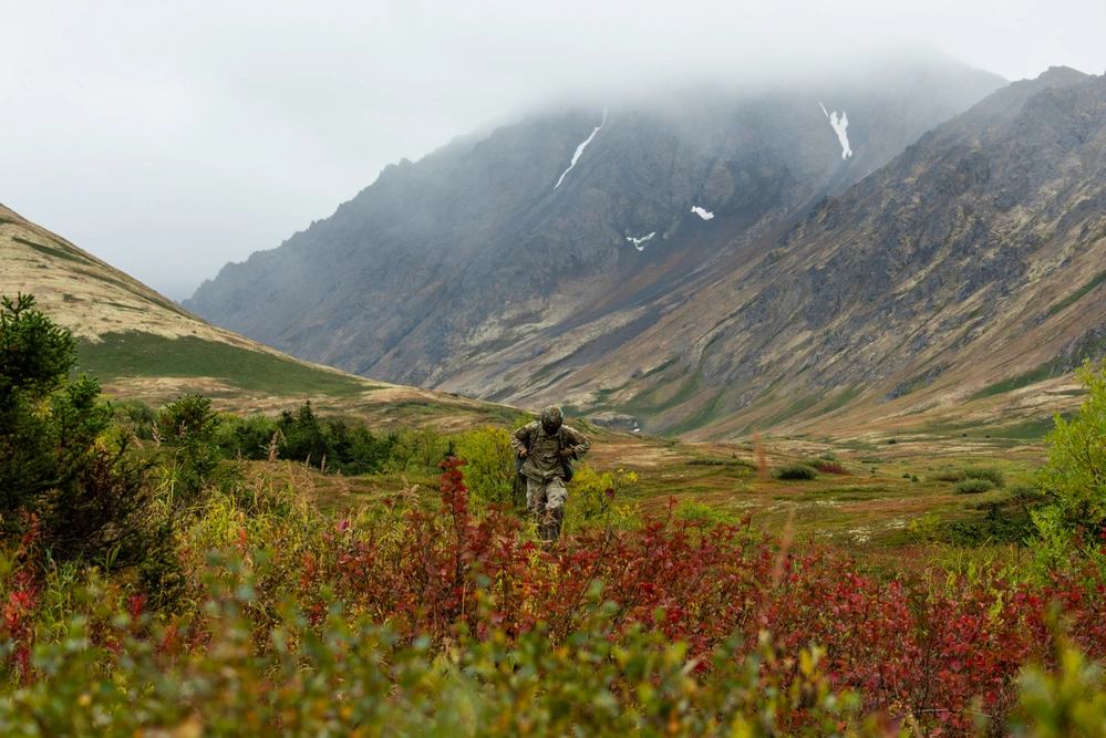 DVIDS - Images - Joint partners conduct airborne ops at JBER [Image 4 ...