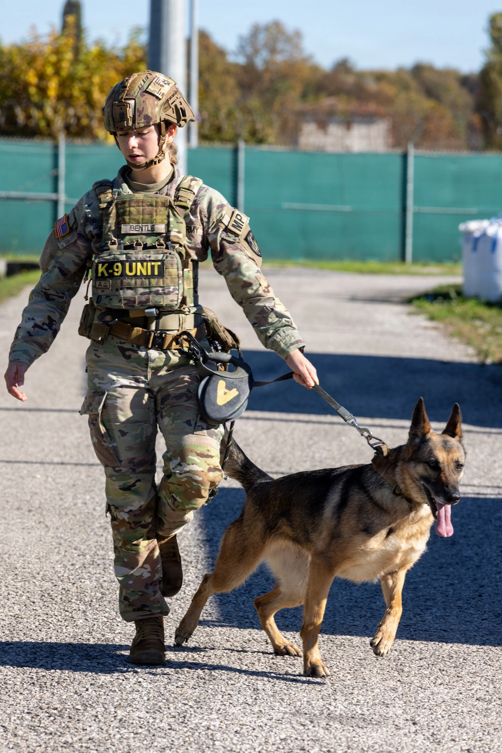 DVIDS - Images - Unleashing potential: military working dogs benefit ...