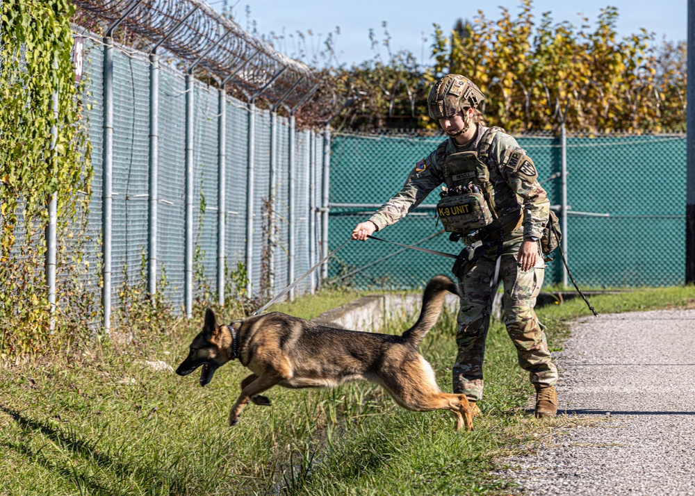 DVIDS - Images - Unleashing potential: military working dogs benefit ...