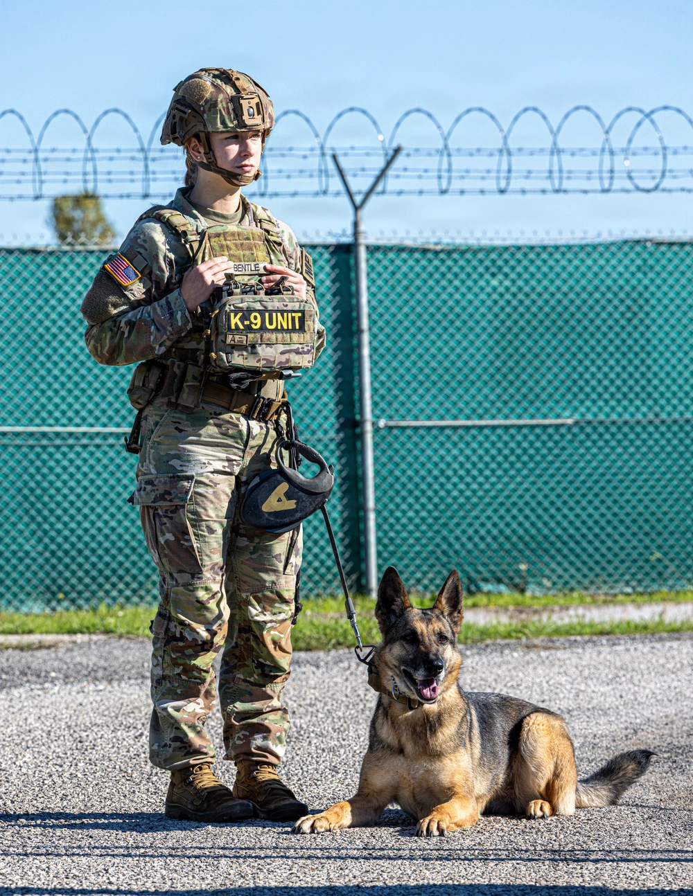 DVIDS - Images - Unleashing potential: military working dogs benefit ...