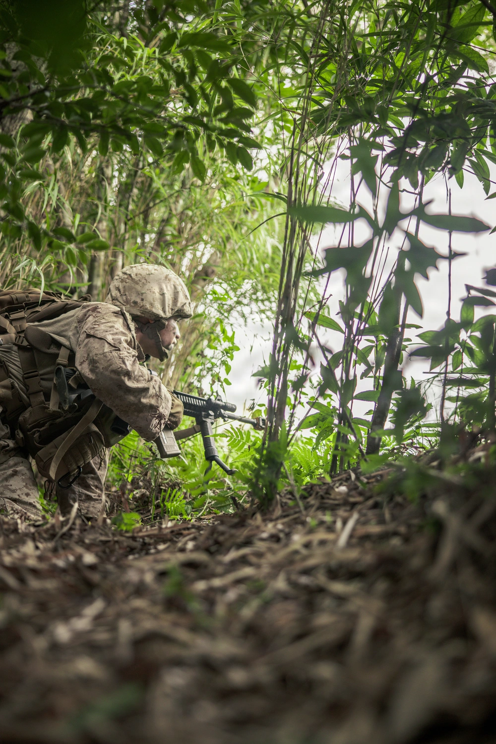 DVIDS - Images - 7th Communication Battalion Marines sharpen combat and ...