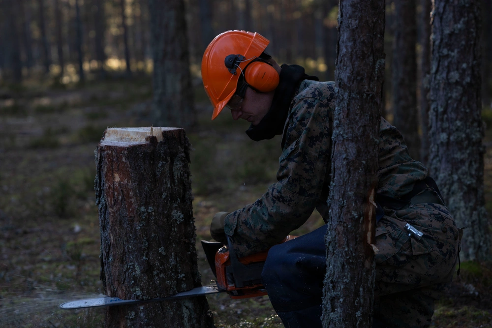 DVIDS - Images - U.S. Marines with MWSS-273 and CLB-6 participate in tree falling operations ...