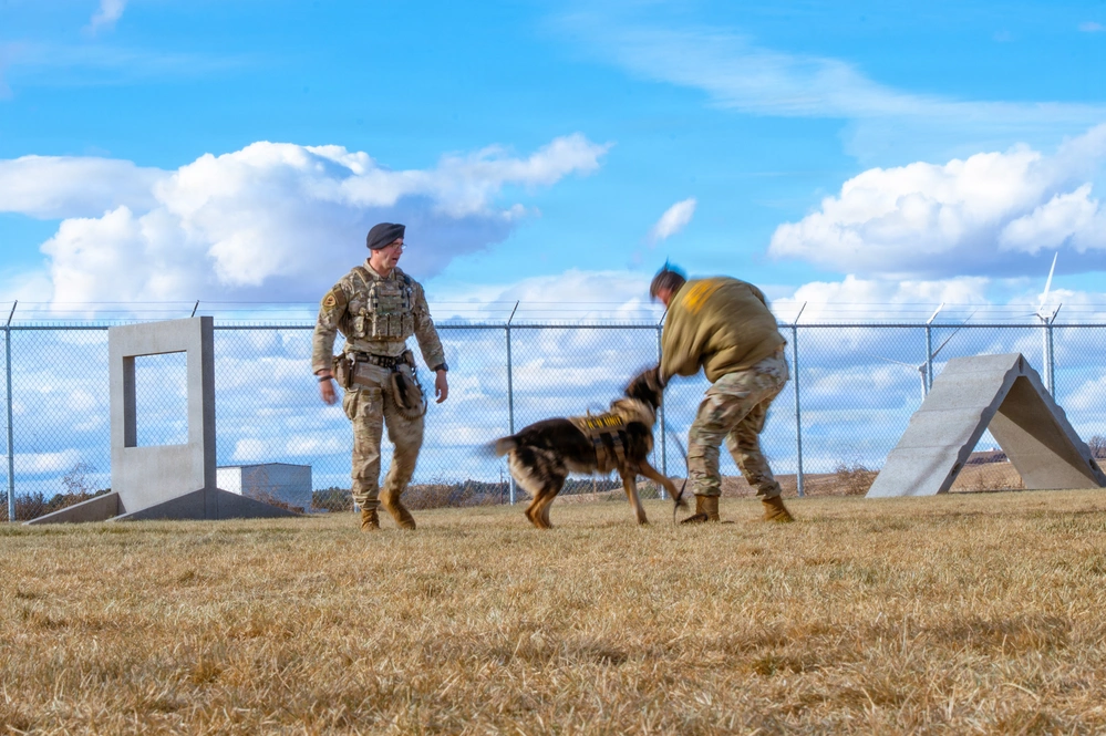 DVIDS - Images - 90 SFS Military Working Dog [Image 22 of 25]