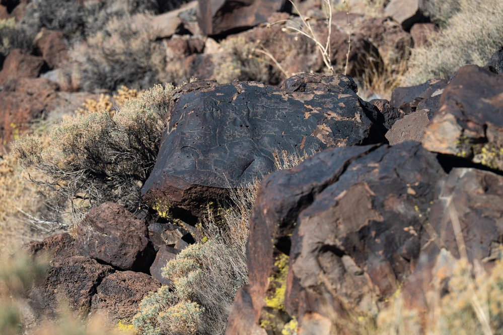 DVIDS - Images - Walking the Land: 30 Years of Tribal Partnership at ...