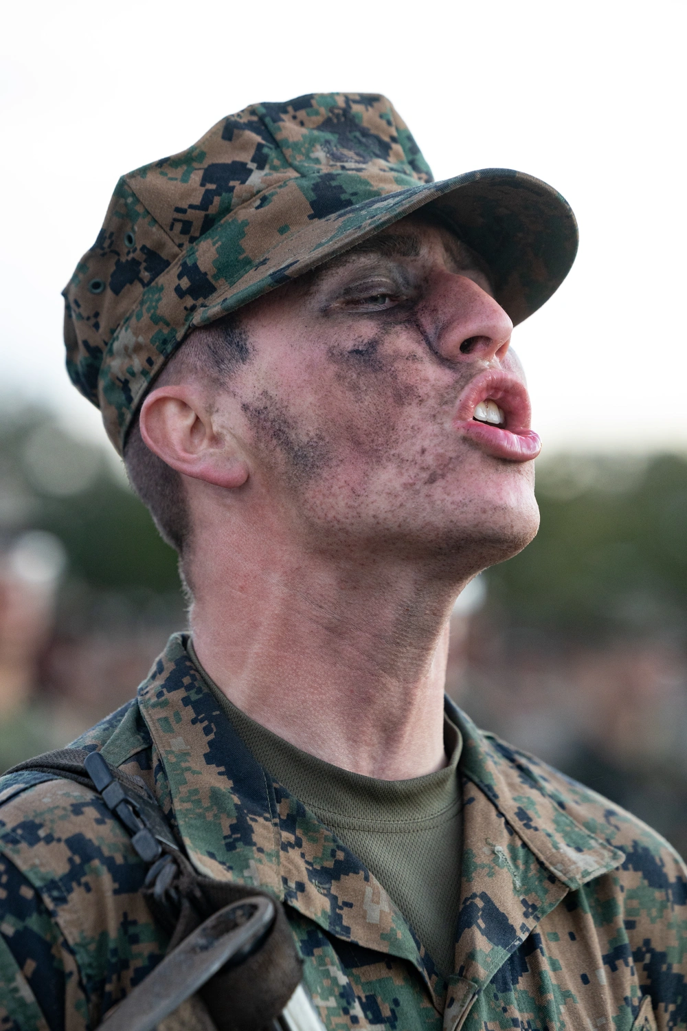 DVIDS - Images - Mike Company Eagle, Globe and Anchor Ceremony [Image ...