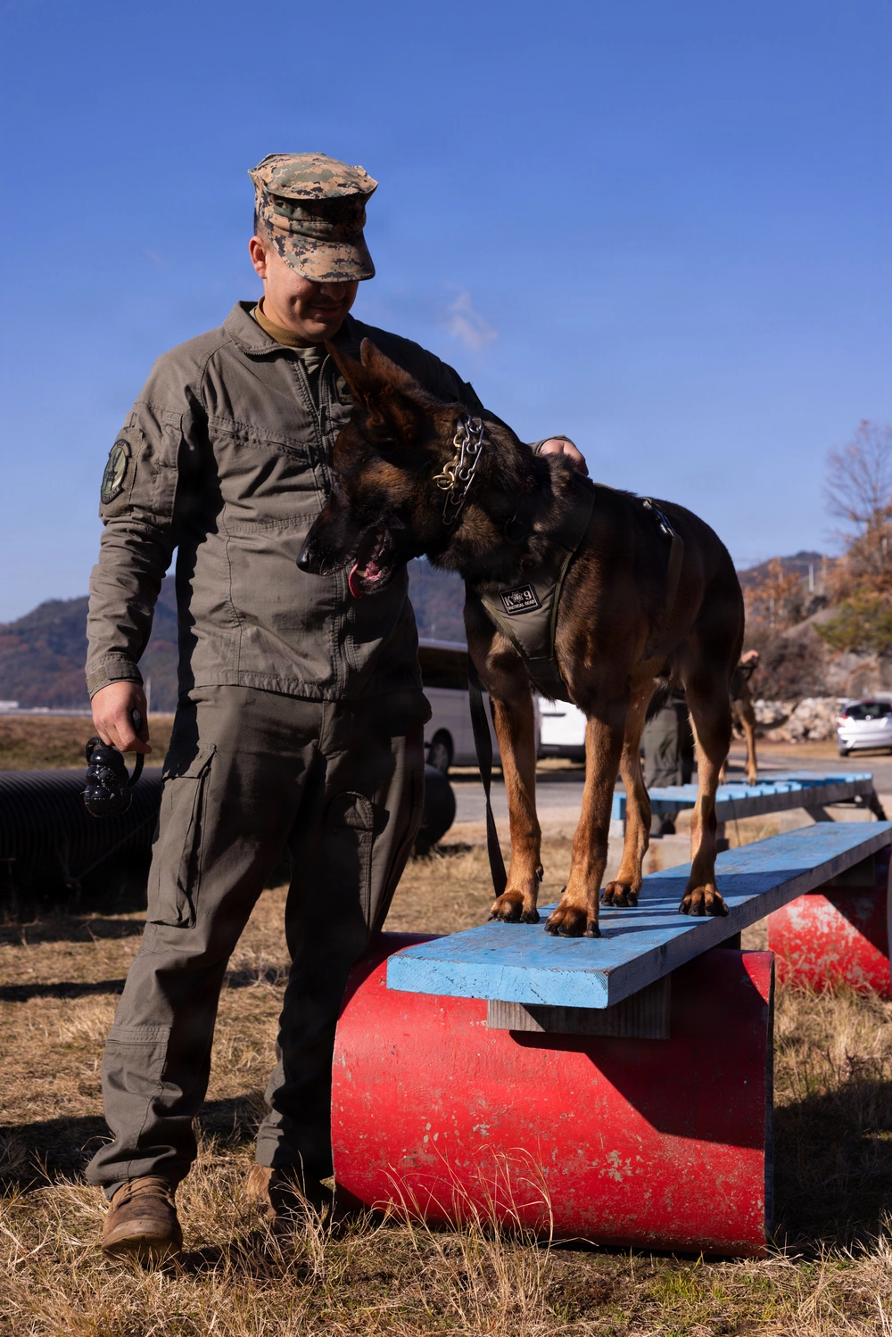 DVIDS - Images - MCAS Iwakuni Military Working Dog Handlers Train at ...