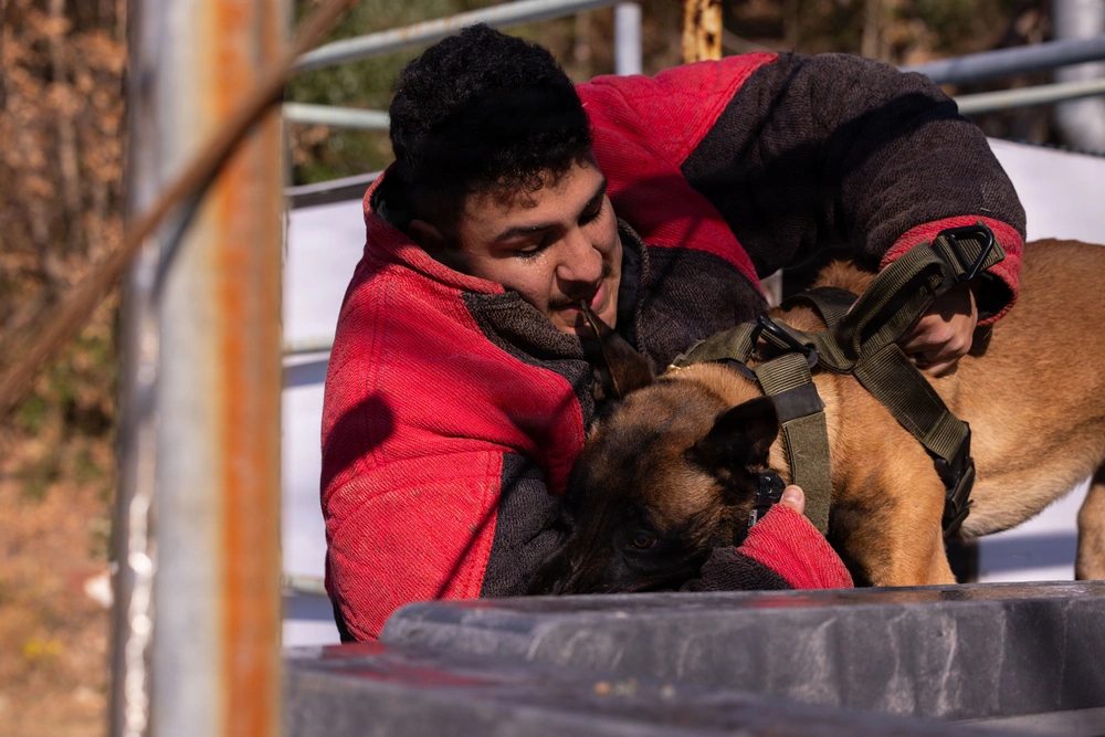 DVIDS - Images - MCAS Iwakuni Military Working Dog Handlers Train at ...