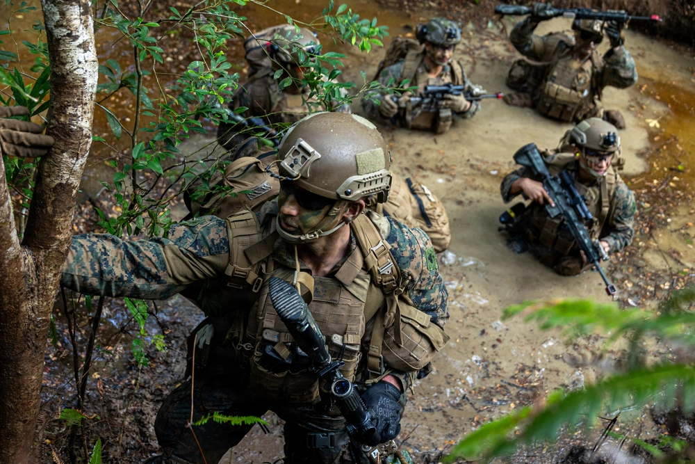 DVIDS - Images - 31st MEU Lima Co. conducts simulated Helo Raid [Image ...