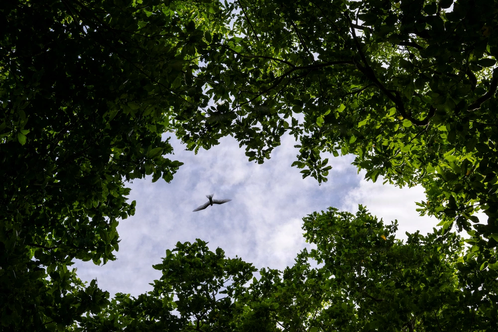 DVIDS - Images - A Check on Meck [Image 122 of 200]