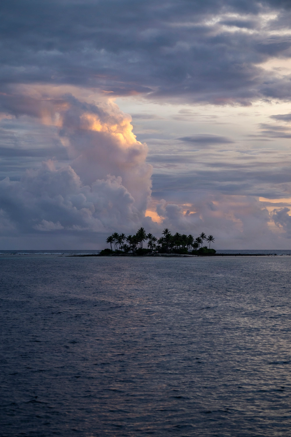 DVIDS - Images - A Check on Meck [Image 120 of 200]