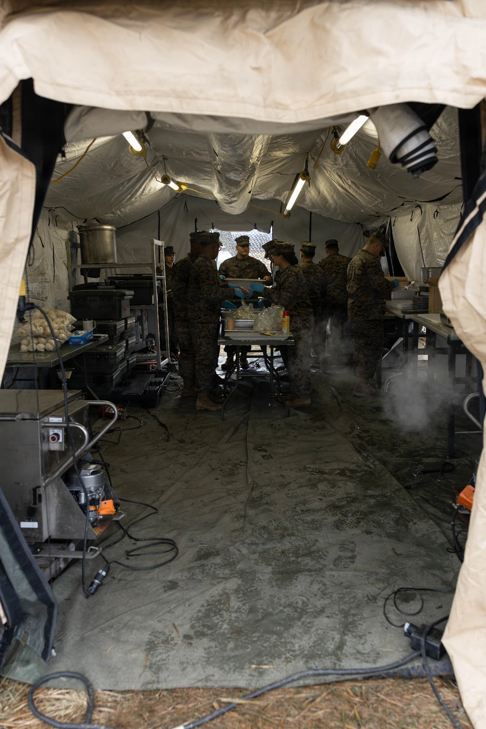 DVIDS - Images - U.S. Marines with MWSS 472 undergo a food inspection ...