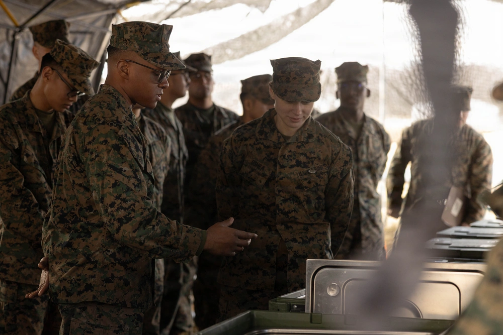 DVIDS - Images - U.S. Marines with MWSS 472 undergo a food inspection ...