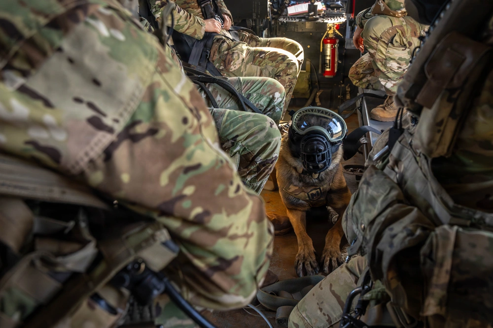 DVIDS - Images - DUSTOFF Participates in Jungle Medicine Training ...