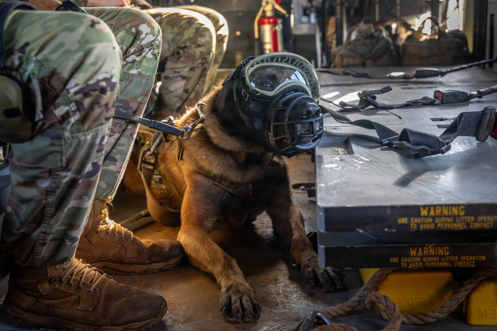 DVIDS - Images - DUSTOFF Participates in Jungle Medicine Training ...