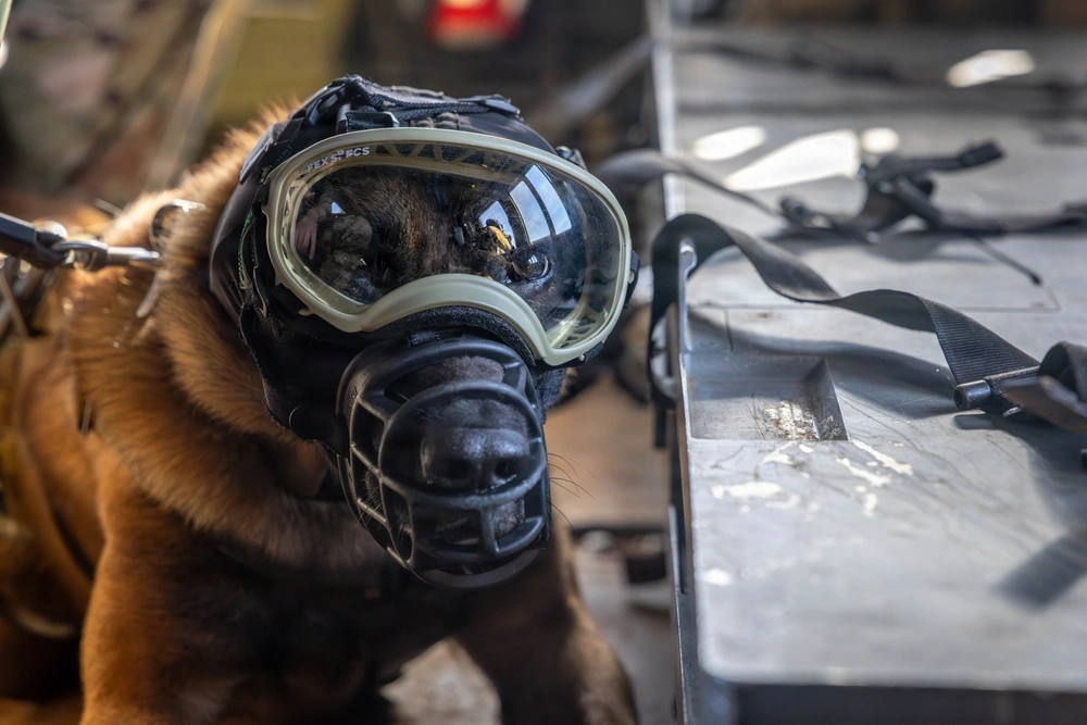 DVIDS - Images - DUSTOFF Participates in Jungle Medicine Training ...