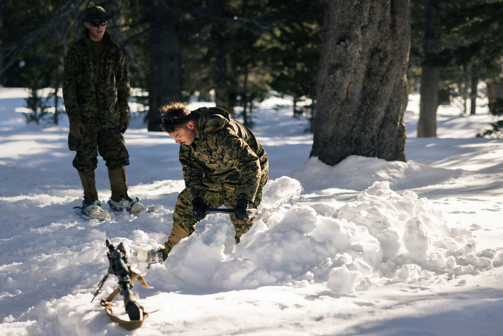 DVIDS - Images - 2nd Bn., 4th Marines conduct ski familiarization ...
