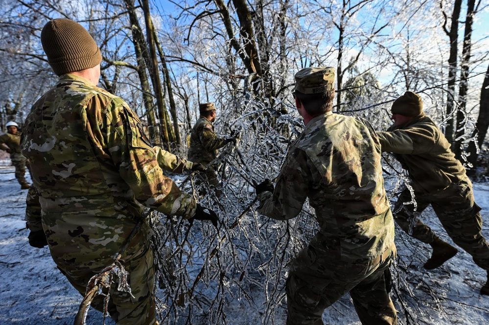 DVIDS - Images - Coordinated tree removal [Image 17 of 20]