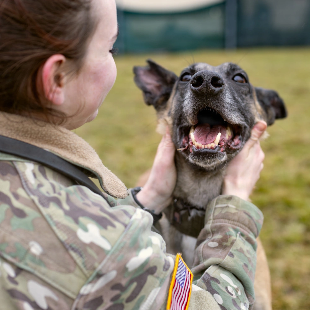 DVIDS - Images - K9s in Action [Image 5 of 37]