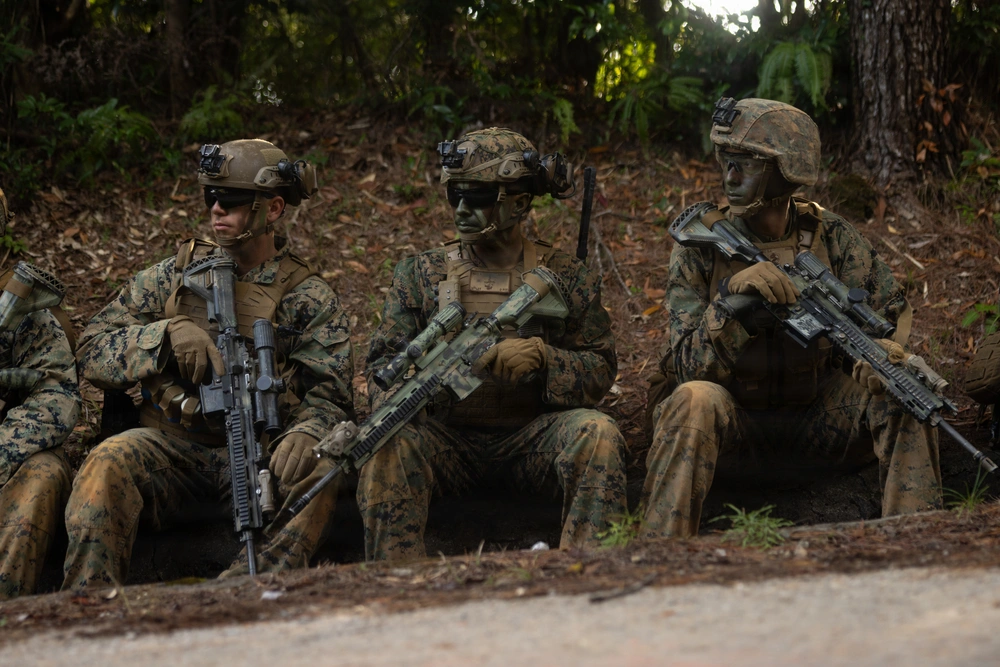 DVIDS - Images - U.S. Marines with 12th LCT Execute Live-Fire Platoon ...