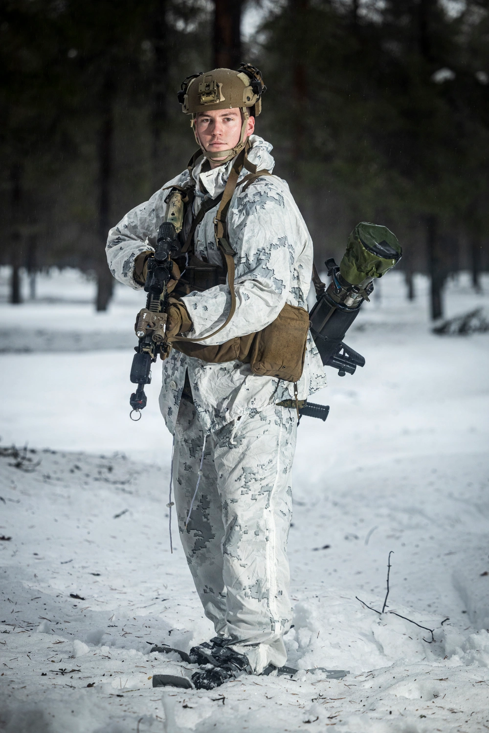DVIDS - Images - CORE26 | Swedish, U.S. Forces Arctic Portraits in ...