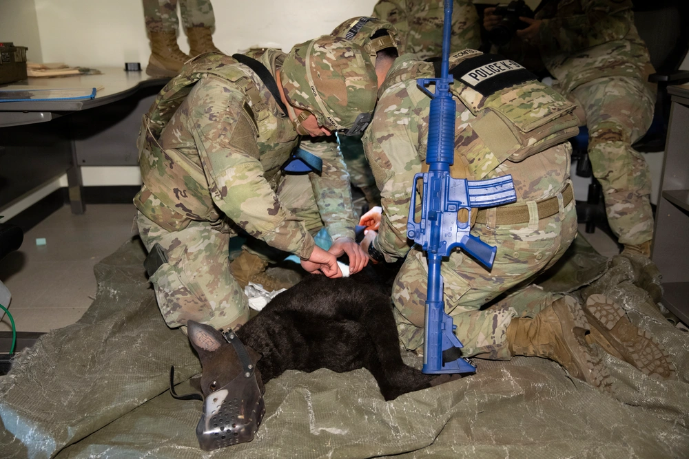 DVIDS - Images - 94th Military Police Battalion Canine Tactical Combat ...