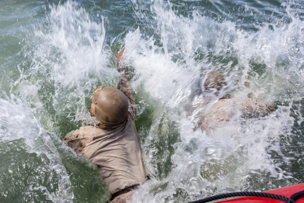 DVIDS - Images - BLT 2/4 conducts ACV Water integration Training ...