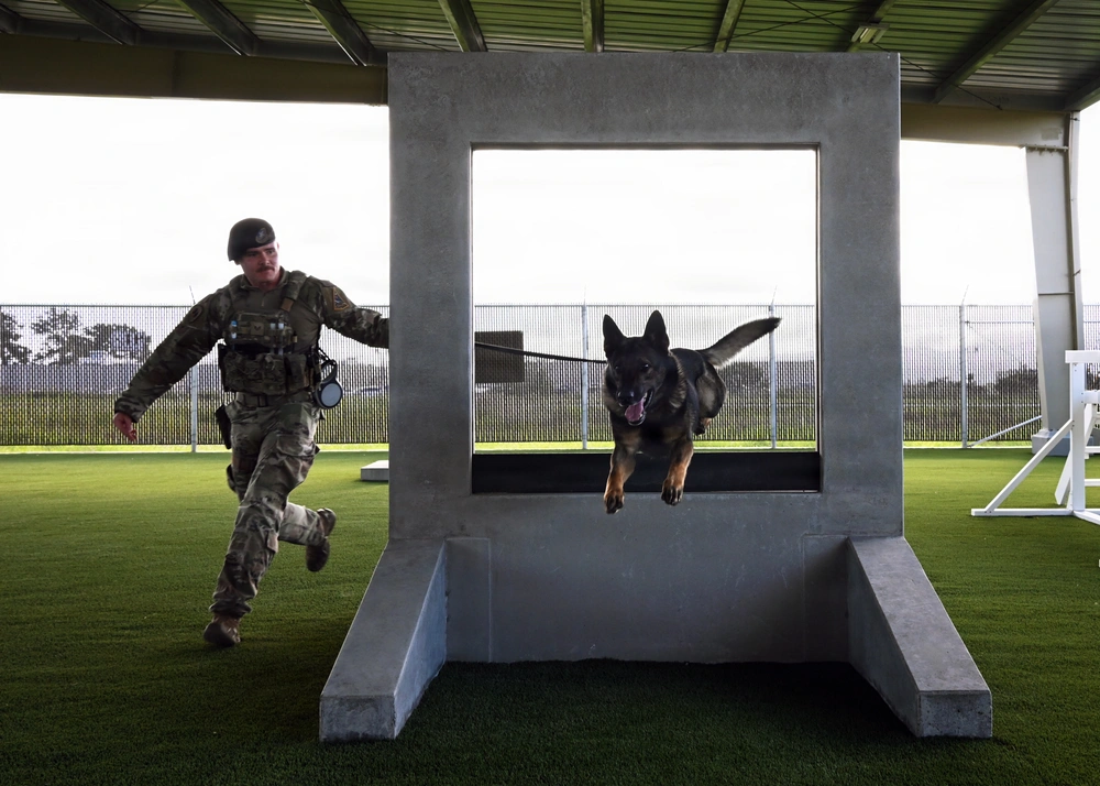 DVIDS - Images - A Day in the Life of a Military Working Dog Team ...