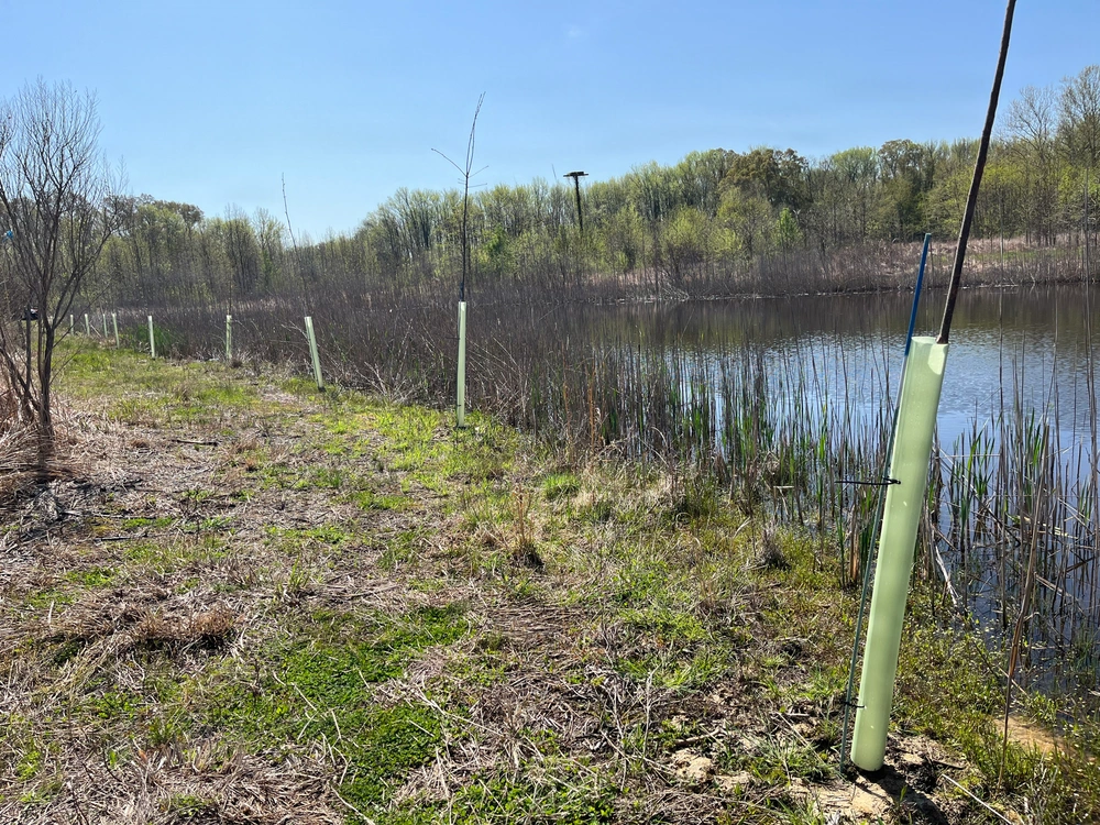DVIDS - Images - Tree Planting at APG [Image 2 of 2]